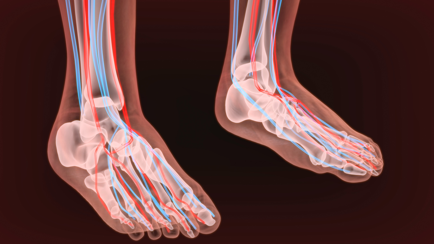 What is the Deep Peroneal Nerve and the Injuries Associated With It ...